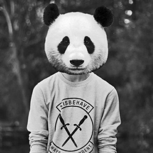 Stream Stormicus music | Listen to songs, albums, playlists for free on ...