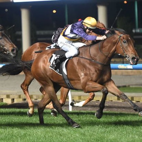 Stream First Light Racing music | Listen to songs, albums, playlists ...