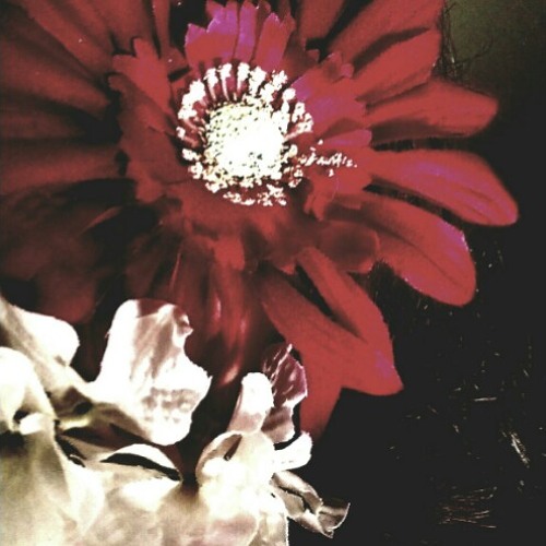 Stream Channelling Enigma music | Listen to songs, albums, playlists ...