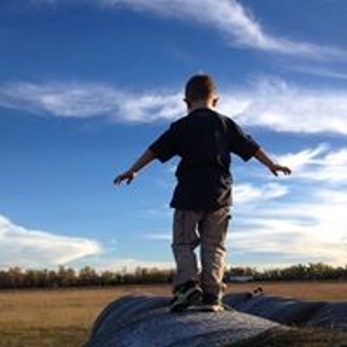 Stream A Toad For Tuesday from Owen Eustice | Listen online for free on ...