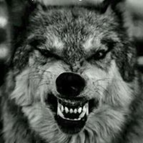 Stream George F. Ditzler Jr. music | Listen to songs, albums, playlists ...