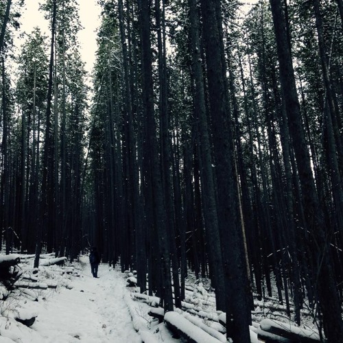 Stream The forgotten staircase v1 by Seth Francis | Listen online for ...