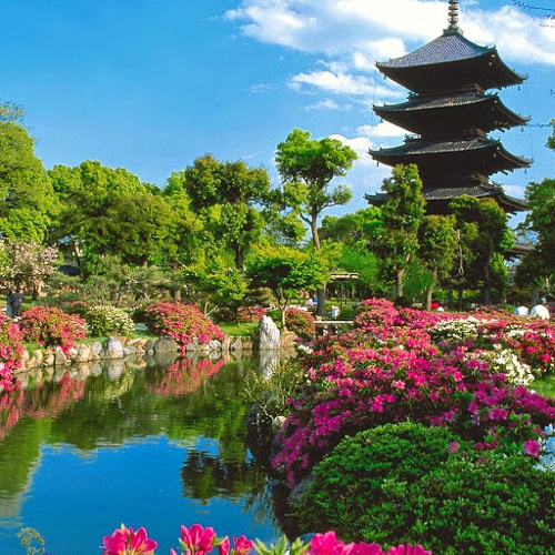 Stream shamar mokgatle-phillips music | Listen to songs, albums ...