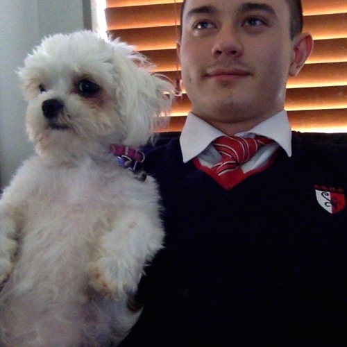 Stream NikoNotman music | Listen to songs, albums, playlists for free ...