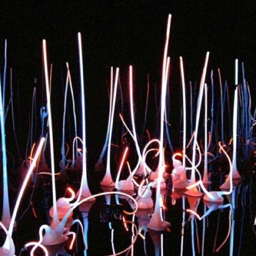 Stream zachiechan music | Listen to songs, albums, playlists for free ...