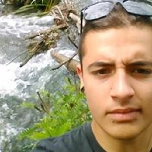 Stream Valentin Menard music | Listen to songs, albums, playlists for ...