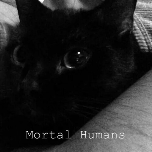 Stream kenzo Rodriguez music | Listen to songs, albums, playlists for ...