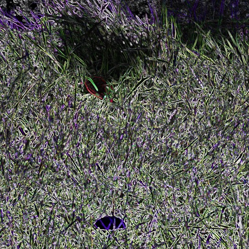 Stream Daniel Pringle music | Listen to songs, albums, playlists for ...