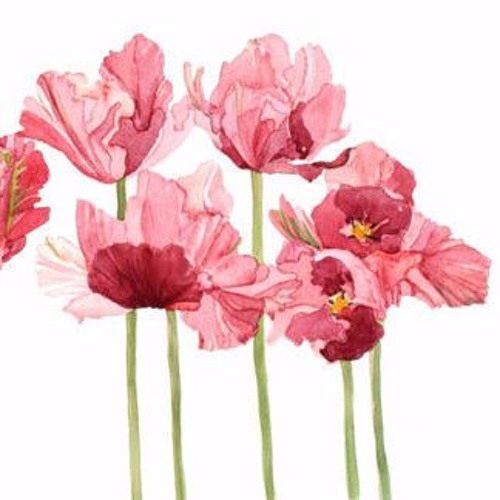 Stream Erica Haglund music | Listen to songs, albums, playlists for ...