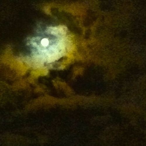 Stream Gavin Harmon music | Listen to songs, albums, playlists for free ...