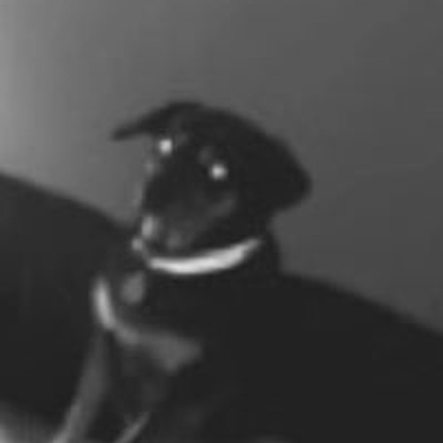 Stream Charlie Stokes music | Listen to songs, albums, playlists for ...