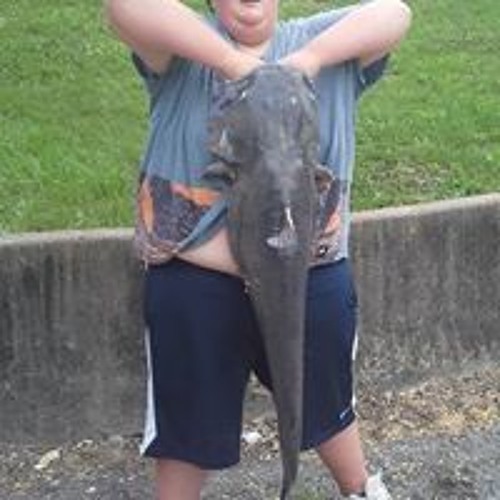 Stream Phillip Abshire music | Listen to songs, albums, playlists for ...