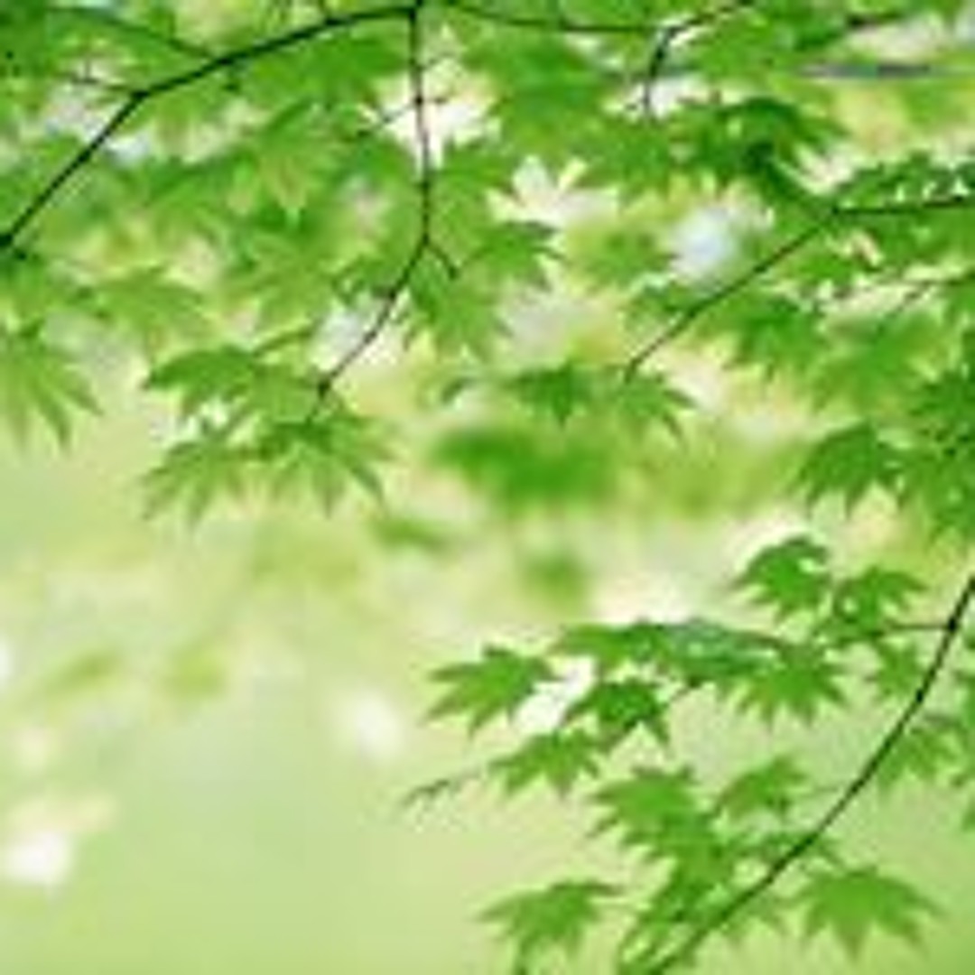 Stream BXDN - Promises by Bang Huu Luong | Listen online for free on ...