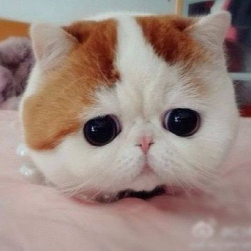 Stream Mark Anthony Li music | Listen to songs, albums, playlists for ...