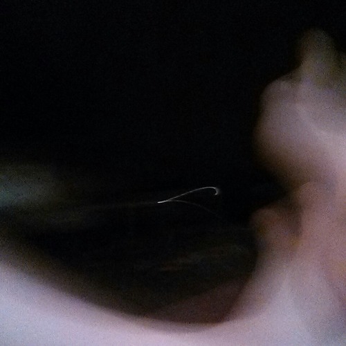 Stream fhfjf music | Listen to songs, albums, playlists for free on ...