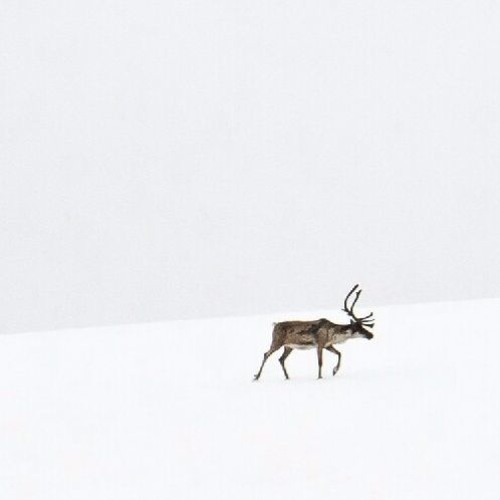 Stream Intone music | Listen to songs, albums, playlists for free on ...