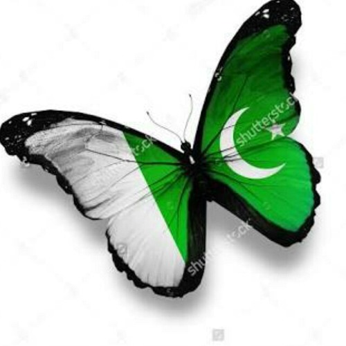 Stream areeba shaikh | Listen to lungi dance playlist online for free ...