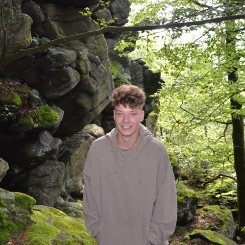 Stream Felix Hauser music | Listen to songs, albums, playlists for free ...