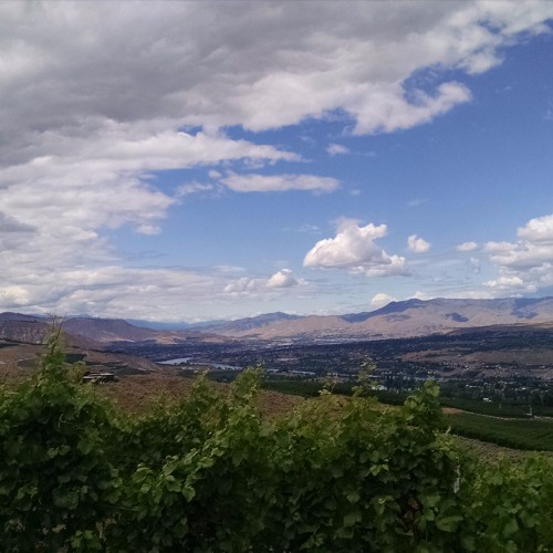 Stream Luke Marney music | Listen to songs, albums, playlists for free ...