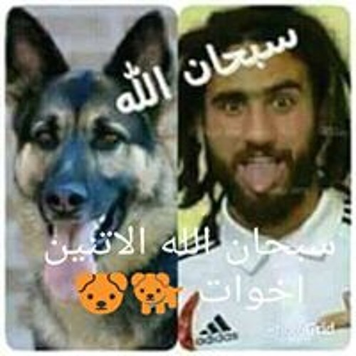 Stream Safa Mahmoud Ellboudy music | Listen to songs, albums, playlists ...