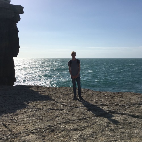 Stream Dominic_Bird music | Listen to songs, albums, playlists for free ...