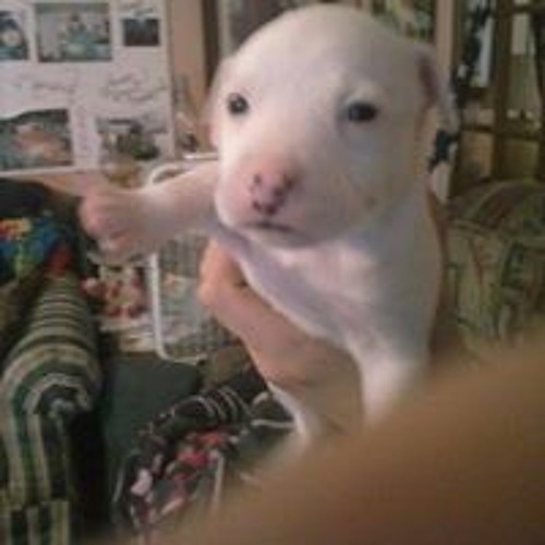 Stream Dominic Langley music | Listen to songs, albums, playlists for ...