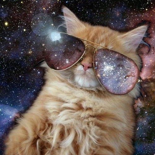 Stream Doom Kitty music | Listen to songs, albums, playlists for free ...