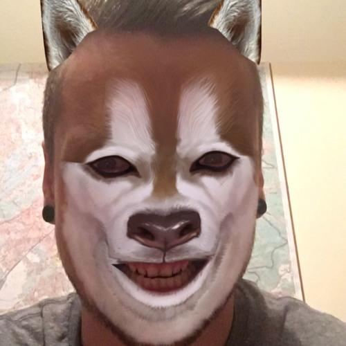 Stream Christian Haslinger music | Listen to songs, albums, playlists ...