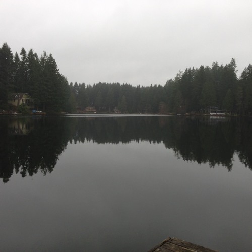 Stream Fiona Tracey music | Listen to songs, albums, playlists for free ...