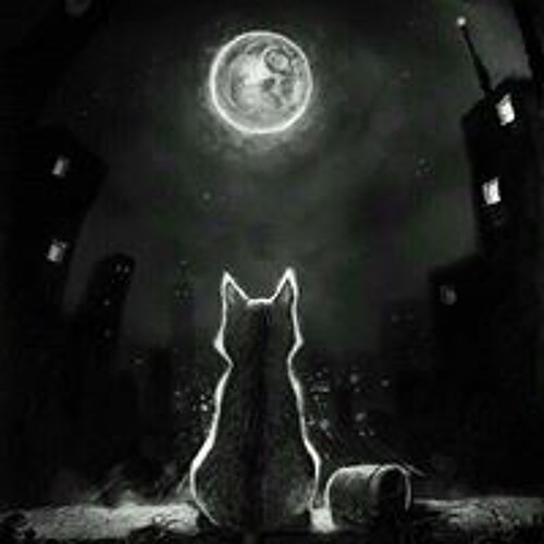 Stream Cuahuey Sergio music | Listen to songs, albums, playlists for ...