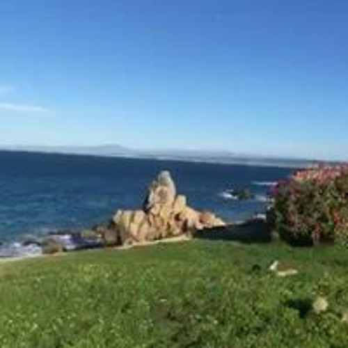 Stream Ton Ting music | Listen to songs, albums, playlists for free on ...