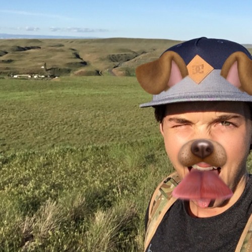 Stream Kyle “Stewy” Steward music | Listen to songs, albums, playlists ...