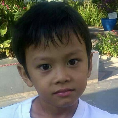 Stream Steven Chandra music | Listen to songs, albums, playlists for ...