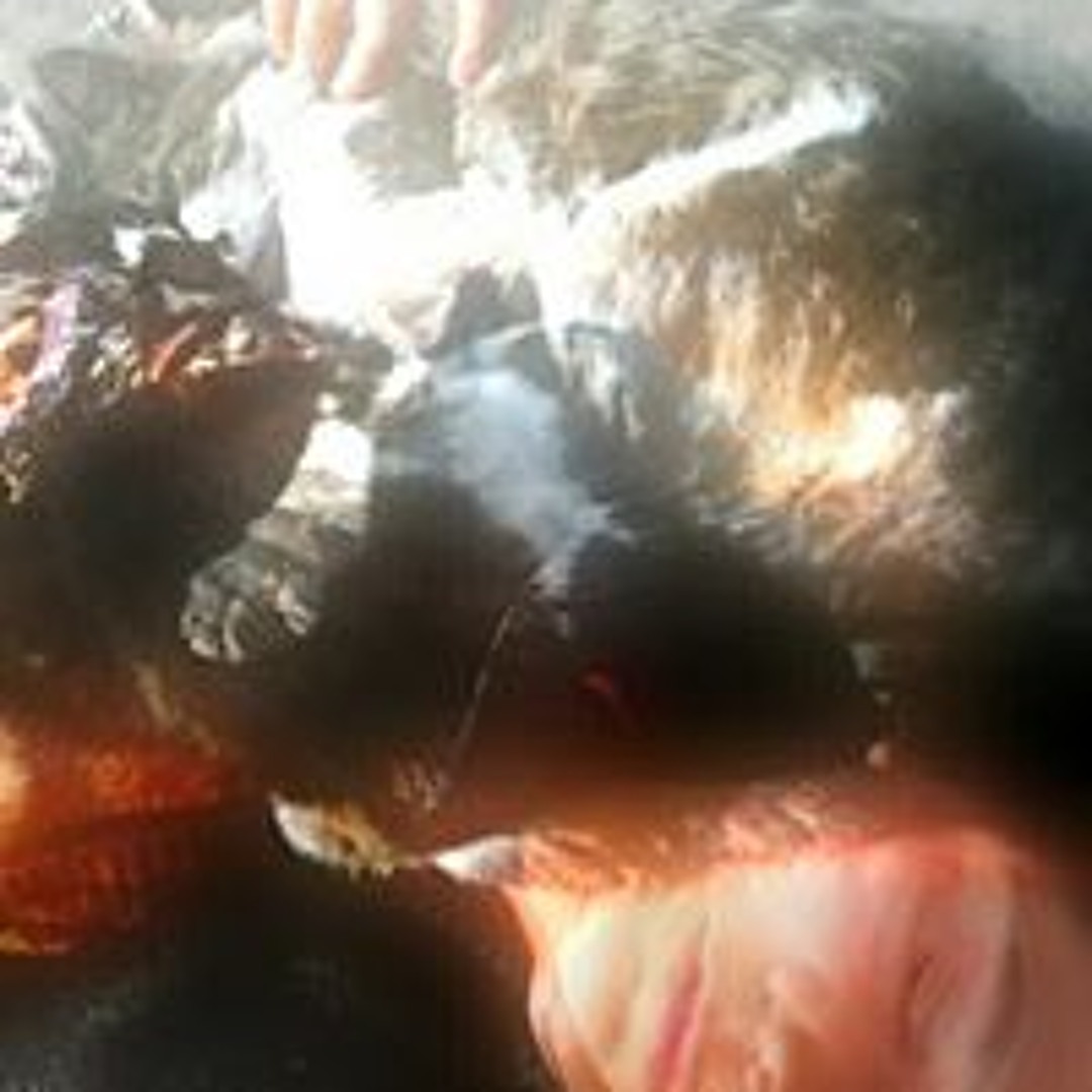 Stream gjkh music | Listen to songs, albums, playlists for free on ...