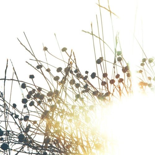 Stream Mario Izzo 1 music | Listen to songs, albums, playlists for free ...