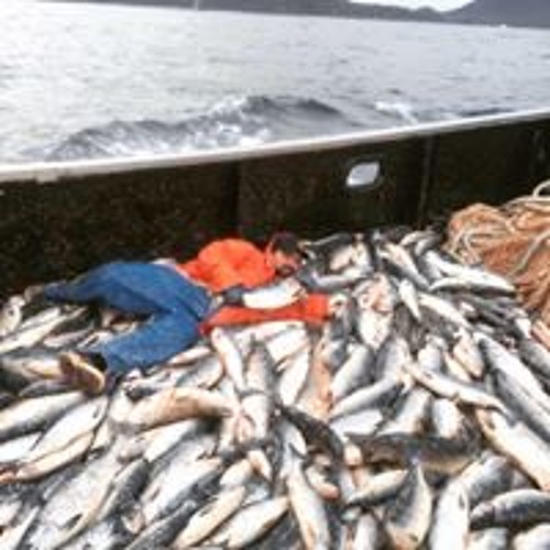 Stream Austin Parr music | Listen to songs, albums, playlists for free ...