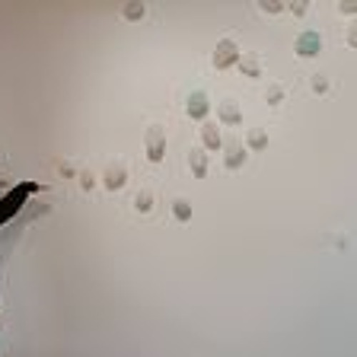 Stream Raina Kim music | Listen to songs, albums, playlists for free on ...