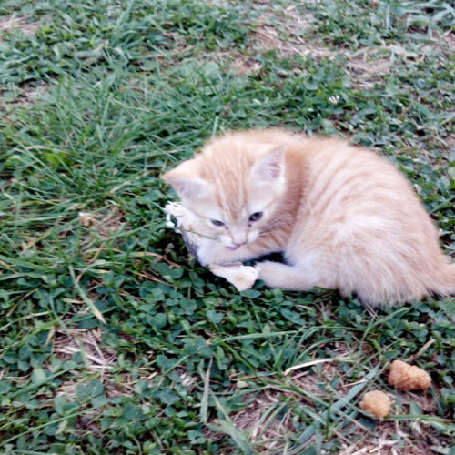 Stream Jason Lozier music | Listen to songs, albums, playlists for free ...