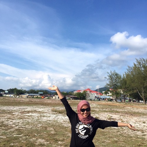 Stream Sarah Anwar music | Listen to songs, albums, playlists for free ...