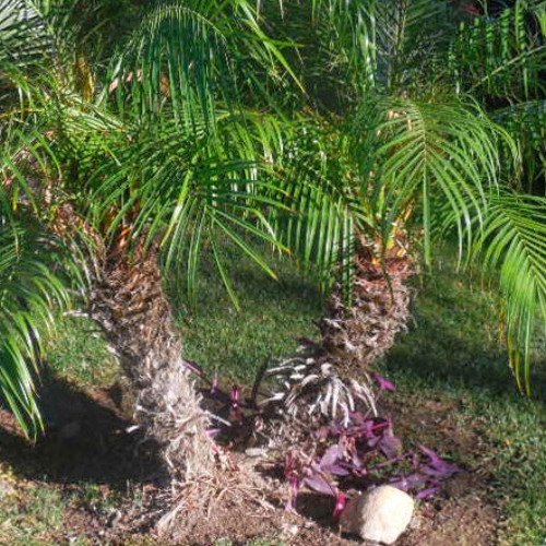 Stream Clapping by Lucy Meade | Listen online for free on SoundCloud