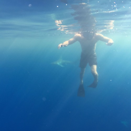 Stream Reggie Lo music | Listen to songs, albums, playlists for free on ...