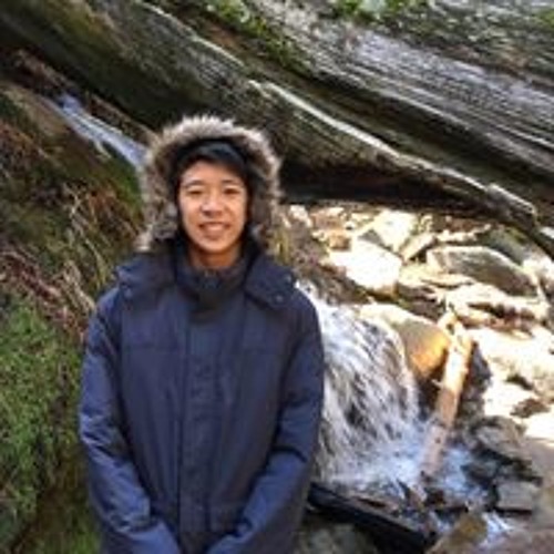 Stream Stephan Choi music | Listen to songs, albums, playlists for free ...
