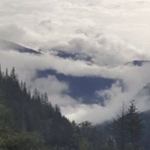 Stream Robert Strano music | Listen to songs, albums, playlists for ...