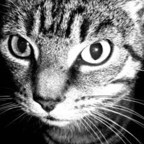 Stream Kevin Gates - Really Really OG by Revolt :;: | Listen online for ...