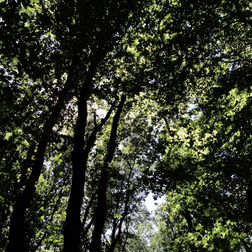 Stream sam gui 1 music | Listen to songs, albums, playlists for free on ...