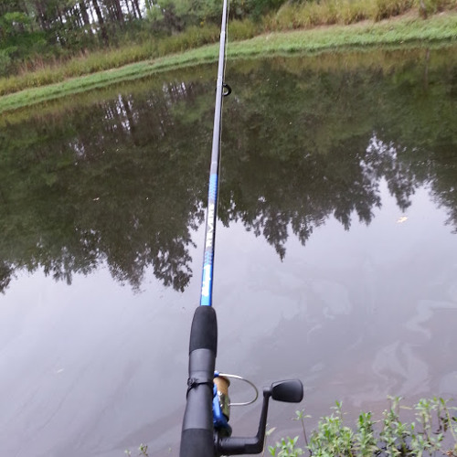 Stream mason marques music | Listen to songs, albums, playlists for ...