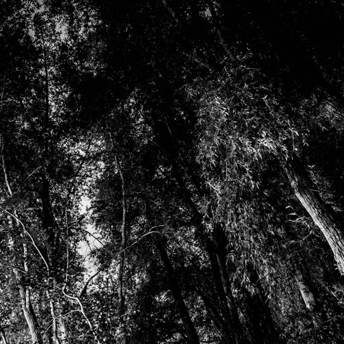 Stream Commoriom music | Listen to songs, albums, playlists for free on ...