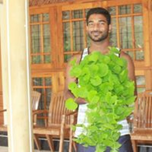 Stream Raveen Fernando music | Listen to songs, albums, playlists for ...