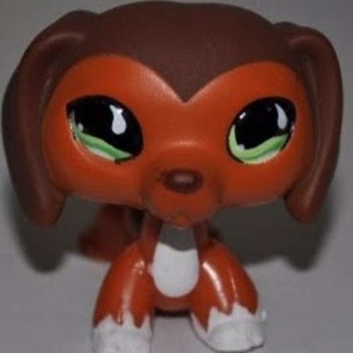 Stream Befinn Hedge music | Listen to songs, albums, playlists for free ...