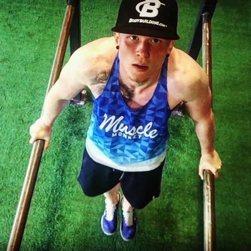 Stream Cougars Piece by Harry Laughton | Listen online for free on ...